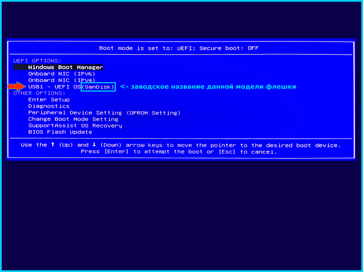 Как установить Linux самостоятельно — Подробная инструкция — Felenasoft